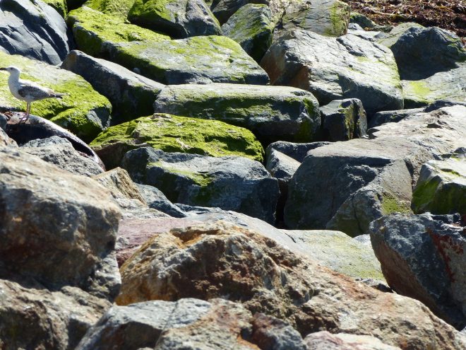 Digue de Saint-Clément, mur et risberme – Chroniques ordinaires des ...