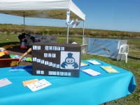 3000 bébés homards bleus en nurserie – Chroniques ordinaires des petits ...