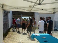 3000 bébés homards bleus en nurserie – Chroniques ordinaires des petits ...