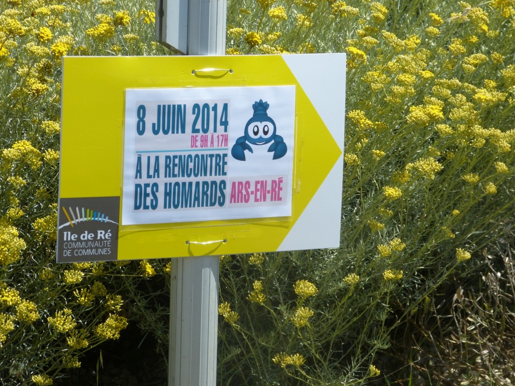 3000 bébés homards bleus en nurserie – Chroniques ordinaires des petits ...