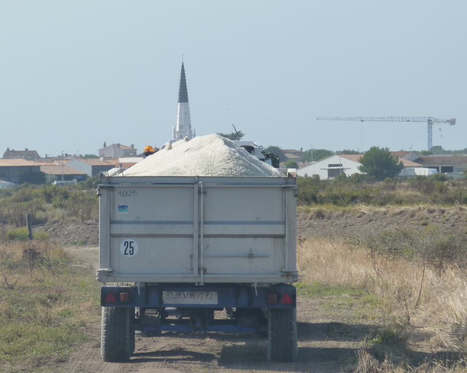 Charroi de gros sel – Chroniques ordinaires des petits moments de la ...